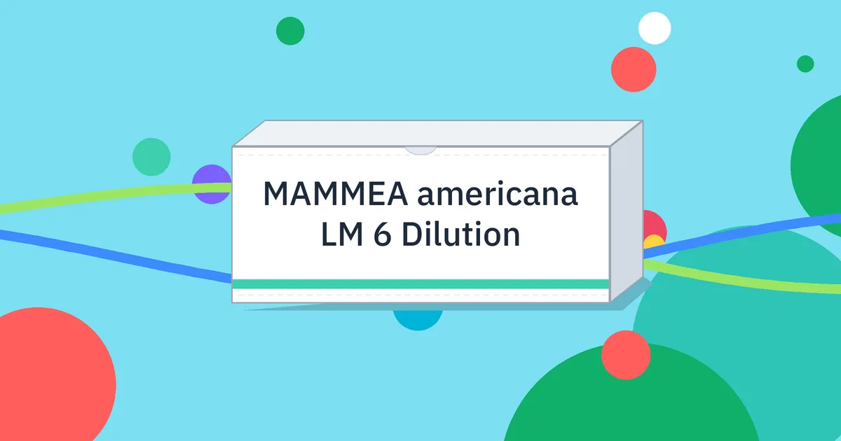 Symbolbild: Packung mit der Aufschrift MAMMEA americana LM 6 Dilution (PZN 13540270) – Verfügbarkeit und Bezug in Apotheken in Frankfurt am Main