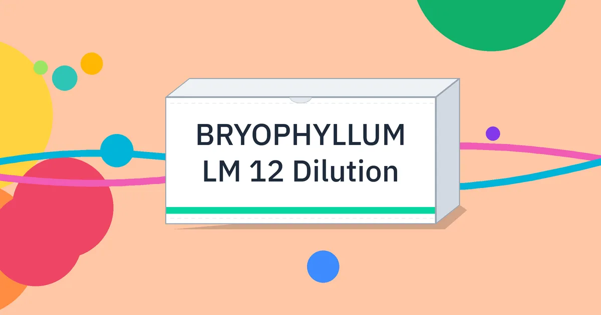 Symbolbild: Packung mit der Aufschrift BRYOPHYLLUM LM 12 Dilution (PZN 13397370) – Verfügbarkeit und Bezug in Apotheken in Frankfurt am Main