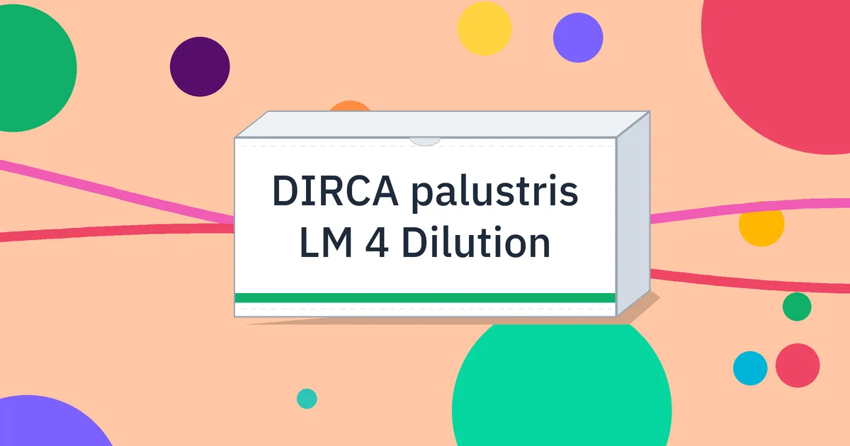 Symbolbild: Packung mit der Aufschrift DIRCA palustris LM 4 Dilution (PZN 13465522) – Verfügbarkeit und Bezug in Apotheken in Frankfurt am Main