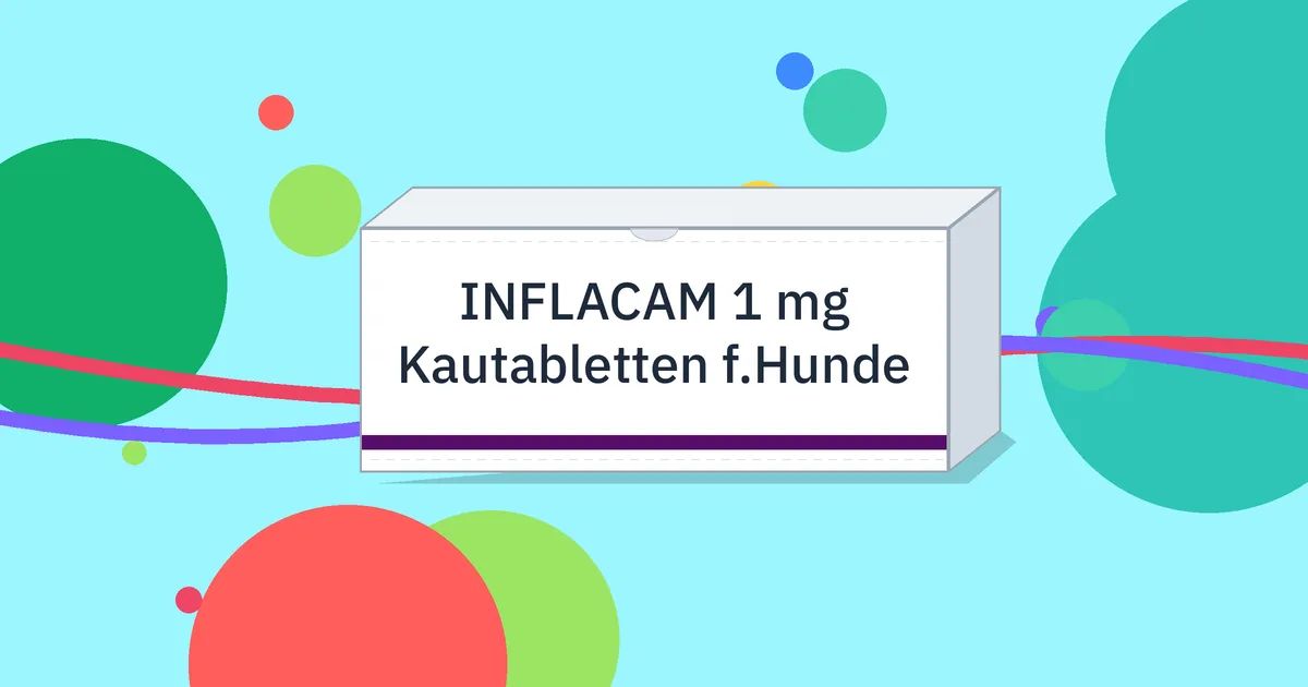 Symbolbild: Packung mit der Aufschrift INFLACAM 1 mg Kautabletten f.Hunde (PZN 04003320) – Verfügbarkeit und Bezug in Apotheken in Frankfurt am Main