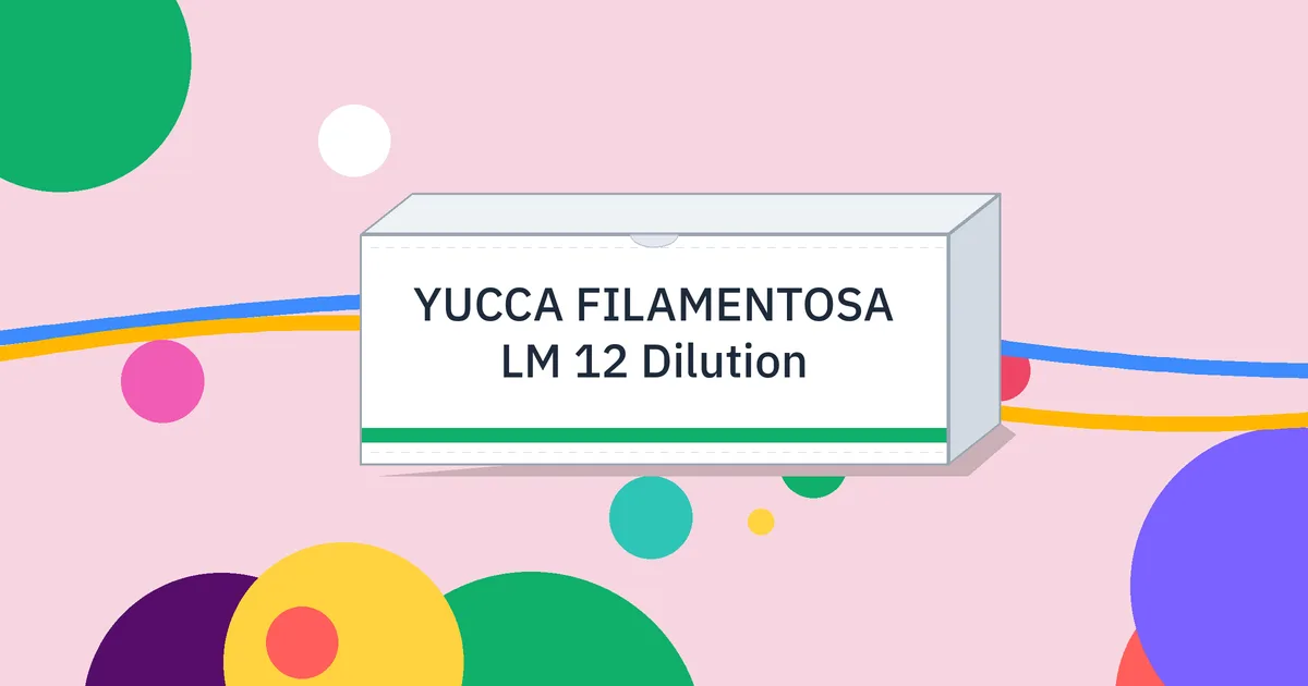 Symbolbild: Packung mit der Aufschrift YUCCA FILAMENTOSA LM 12 Dilution (PZN 13288735) – Verfügbarkeit und Bezug in Apotheken in Frankfurt am Main