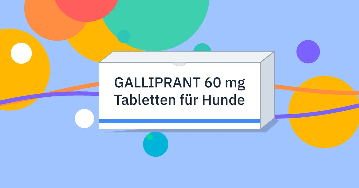 Symbolbild: Packung mit der Aufschrift GALLIPRANT 60 mg Tabletten für Hunde (PZN 16165648) – Verfügbarkeit und Bezug in Apotheken in Frankfurt am Main
