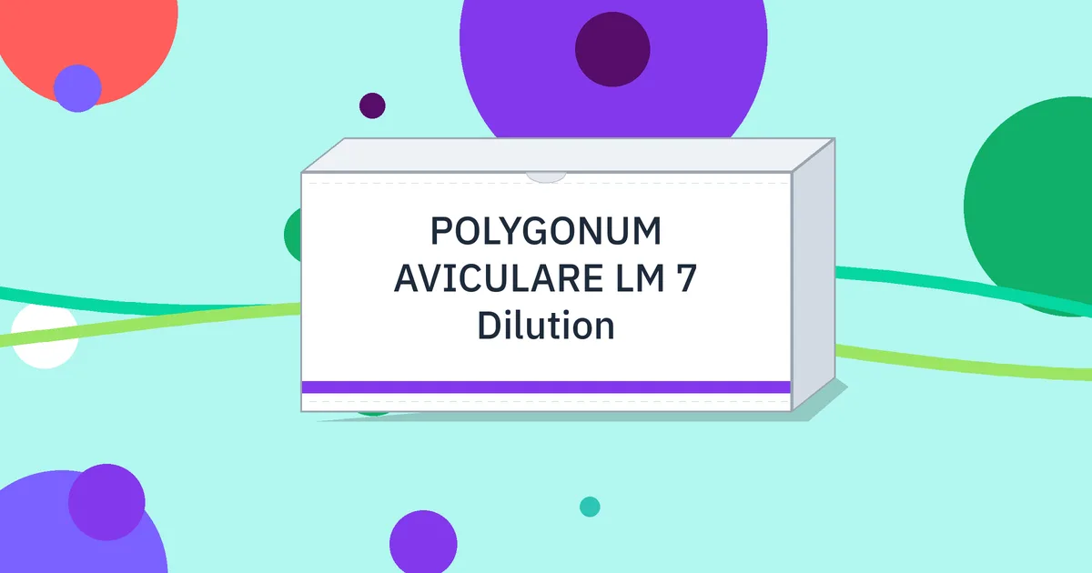 Symbolbild: Packung mit der Aufschrift POLYGONUM AVICULARE LM 7 Dilution (PZN 13661884) – Verfügbarkeit und Bezug in Apotheken in Frankfurt am Main