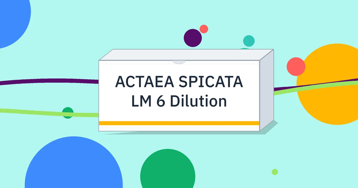 Symbolbild: Packung mit der Aufschrift ACTAEA SPICATA LM 6 Dilution (PZN 13293363) – Verfügbarkeit und Bezug in Apotheken in Frankfurt am Main