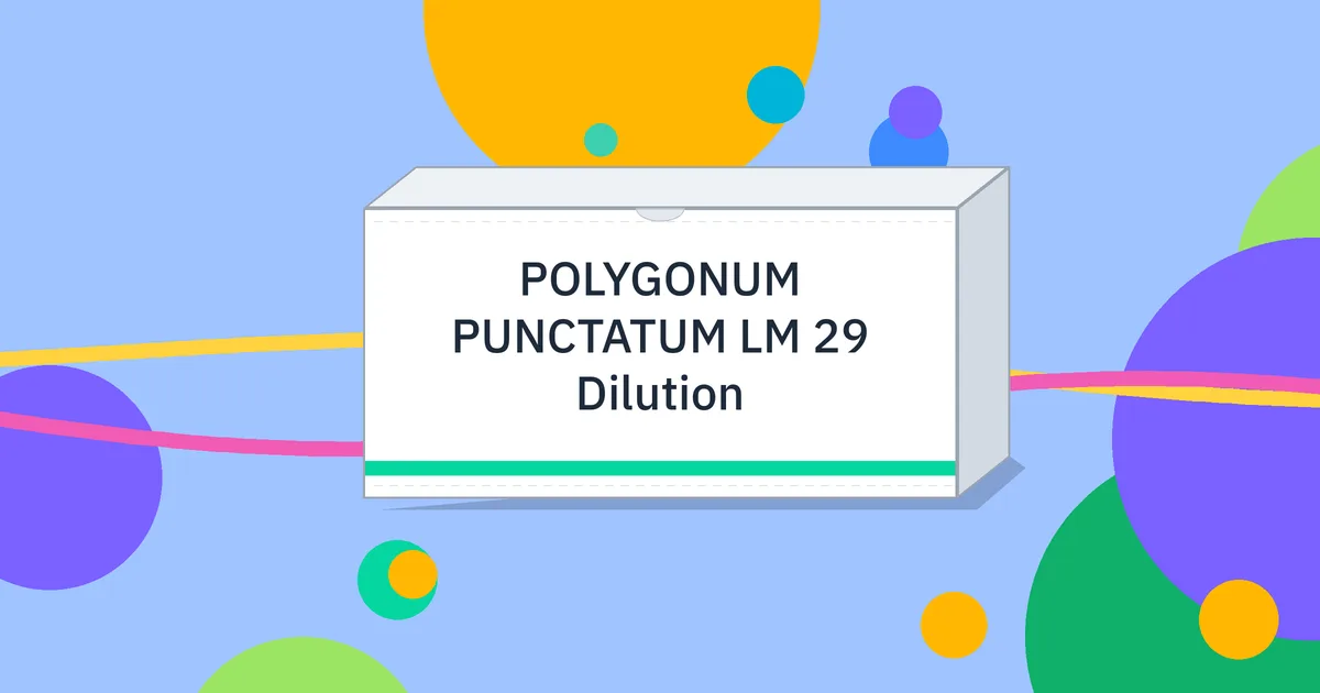 Symbolbild: Packung mit der Aufschrift POLYGONUM PUNCTATUM LM 29 Dilution (PZN 13663067) – Verfügbarkeit und Bezug in Apotheken in Frankfurt am Main