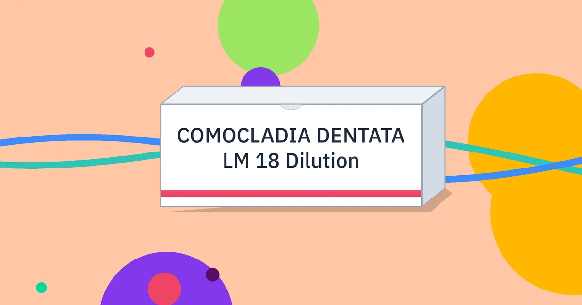 Symbolbild: Packung mit der Aufschrift COMOCLADIA DENTATA LM 18 Dilution (PZN 13449291) – Verfügbarkeit und Bezug in Apotheken in Frankfurt am Main