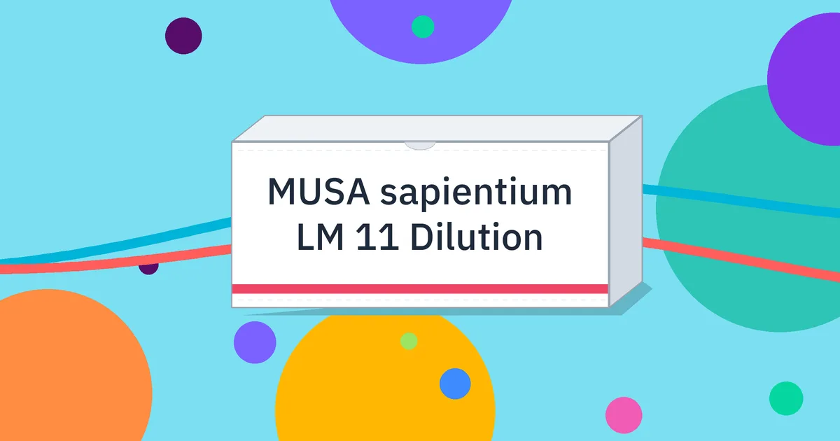 Symbolbild: Packung mit der Aufschrift MUSA sapientium LM 11 Dilution (PZN 13611662) – Verfügbarkeit und Bezug in Apotheken in Frankfurt am Main