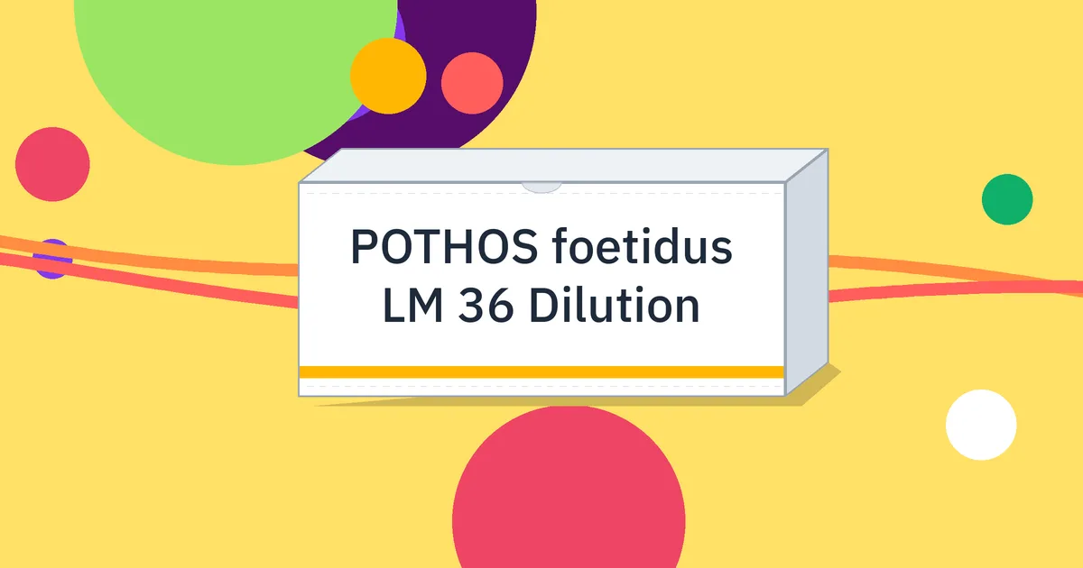 Symbolbild: Packung mit der Aufschrift POTHOS foetidus LM 36 Dilution (PZN 13666344) – Verfügbarkeit und Bezug in Apotheken in Frankfurt am Main
