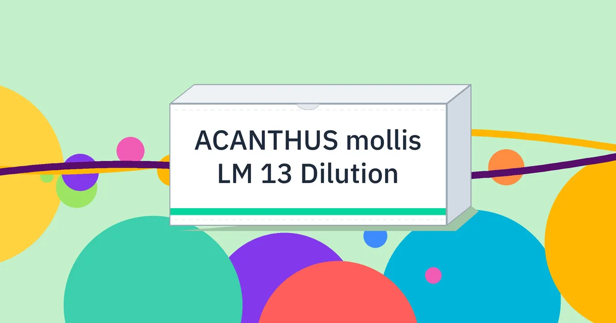 Symbolbild: Packung mit der Aufschrift ACANTHUS mollis LM 13 Dilution (PZN 13263267) – Verfügbarkeit und Bezug in Apotheken in Frankfurt am Main