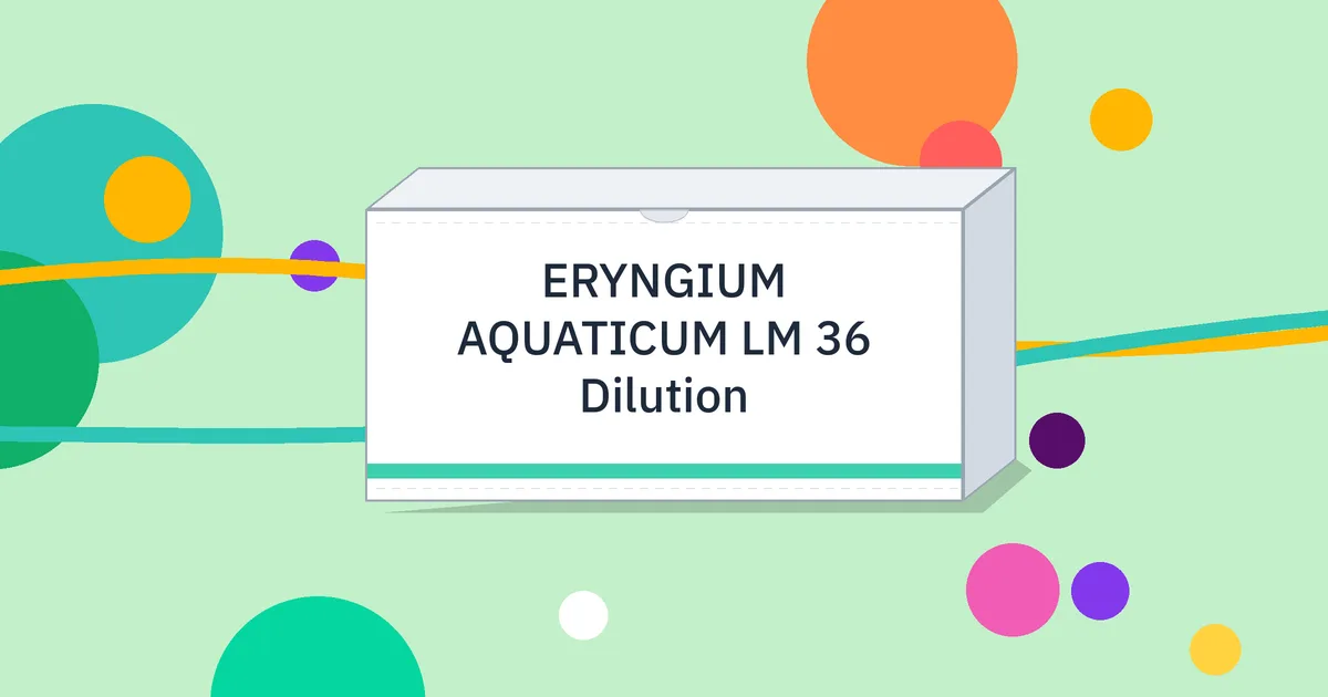 Symbolbild: Packung mit der Aufschrift ERYNGIUM AQUATICUM LM 36 Dilution (PZN 13478795) – Verfügbarkeit und Bezug in Apotheken in Frankfurt am Main