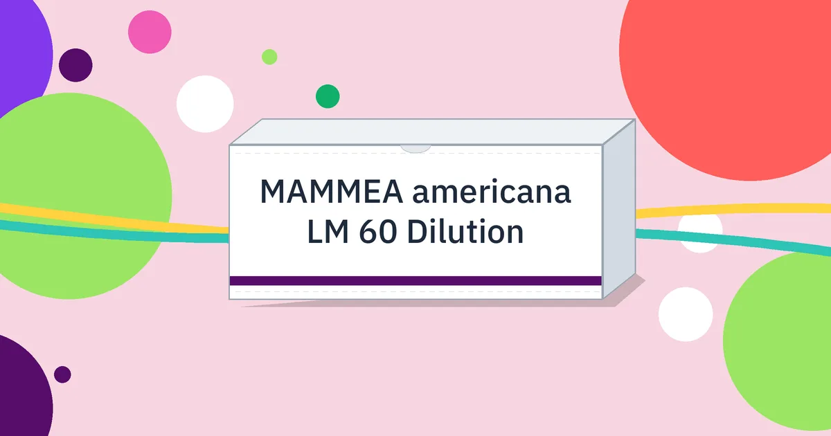 Symbolbild: Packung mit der Aufschrift MAMMEA americana LM 60 Dilution (PZN 13540608) – Verfügbarkeit und Bezug in Apotheken in Frankfurt am Main