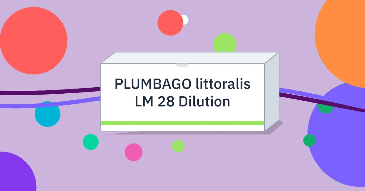 Symbolbild: Packung mit der Aufschrift PLUMBAGO littoralis LM 28 Dilution (PZN 13649216) – Verfügbarkeit und Bezug in Apotheken in Frankfurt am Main