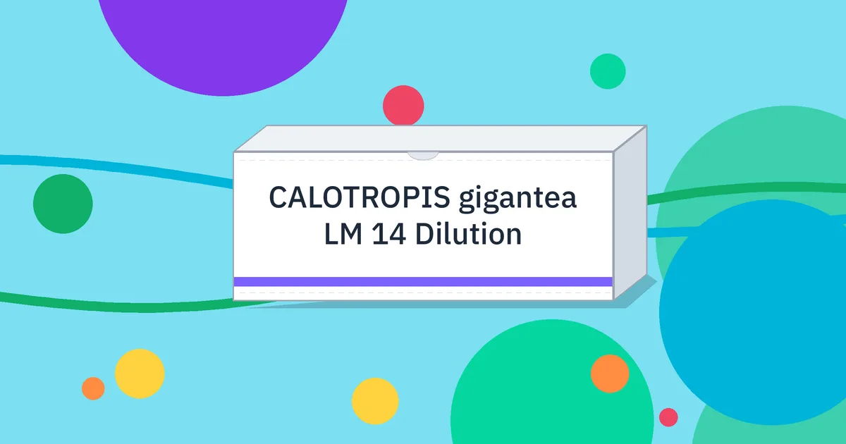 Symbolbild: Packung mit der Aufschrift CALOTROPIS gigantea LM 14 Dilution (PZN 13411147) – Verfügbarkeit und Bezug in Apotheken in Frankfurt am Main
