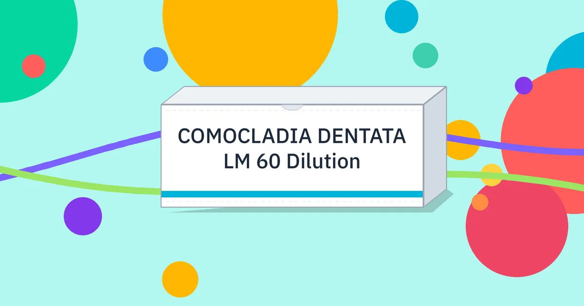 Symbolbild: Packung mit der Aufschrift COMOCLADIA DENTATA LM 60 Dilution (PZN 13449486) – Verfügbarkeit und Bezug in Apotheken in Frankfurt am Main