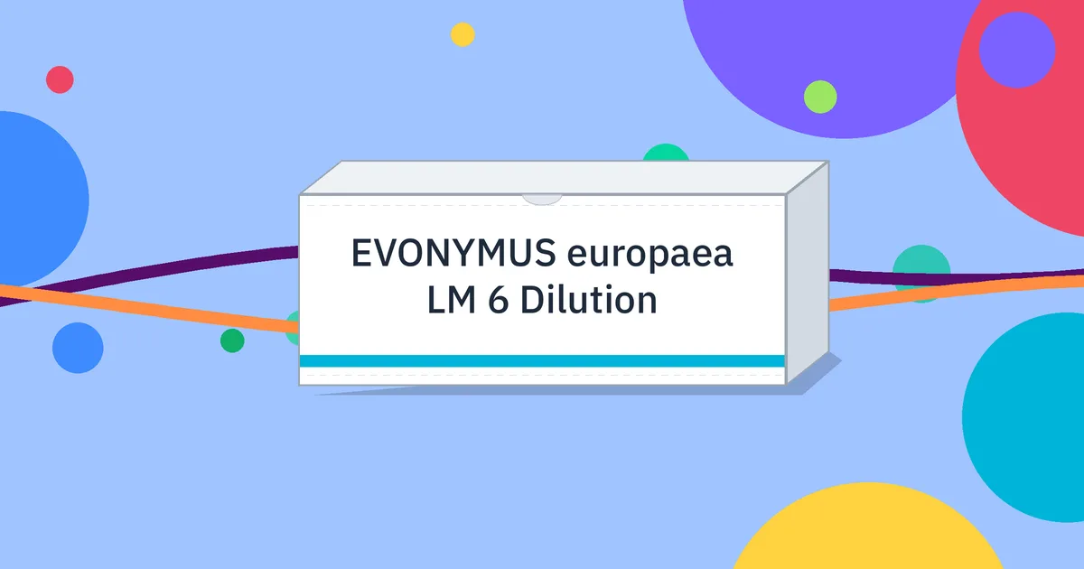 Symbolbild: Packung mit der Aufschrift EVONYMUS europaea LM 6 Dilution (PZN 13484531) – Verfügbarkeit und Bezug in Apotheken in Frankfurt am Main