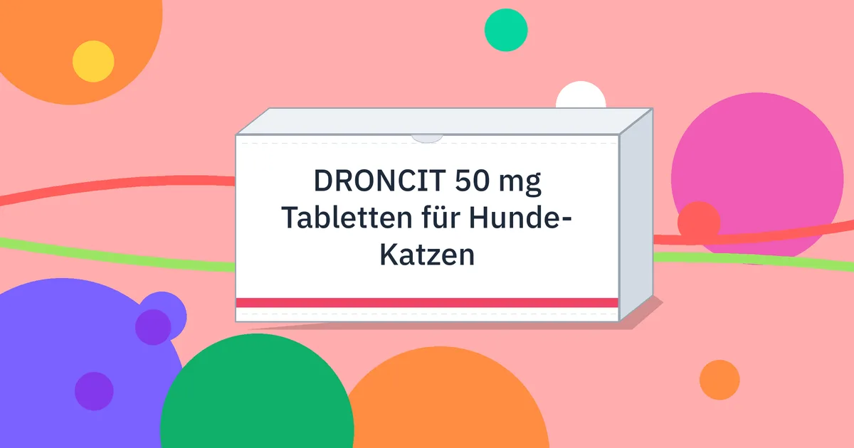 Symbolbild: Packung mit der Aufschrift DRONCIT 50 mg Tabletten für Hunde-Katzen (PZN 20181759) – Verfügbarkeit und Bezug in Apotheken in Frankfurt am Main