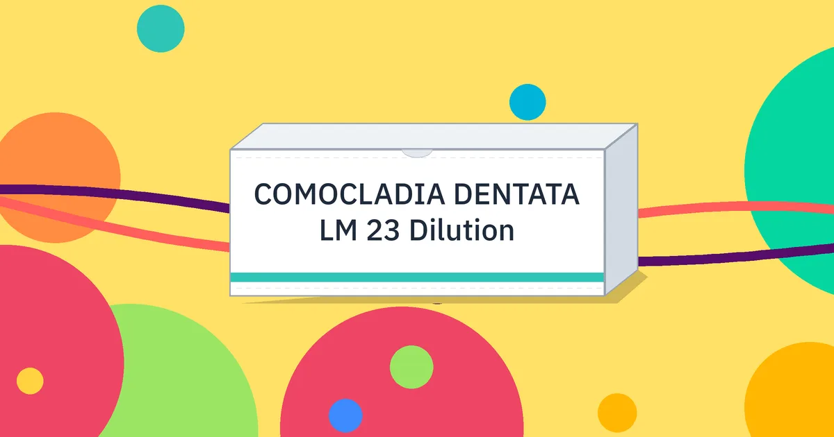 Symbolbild: Packung mit der Aufschrift COMOCLADIA DENTATA LM 23 Dilution (PZN 13449374) – Verfügbarkeit und Bezug in Apotheken in Frankfurt am Main