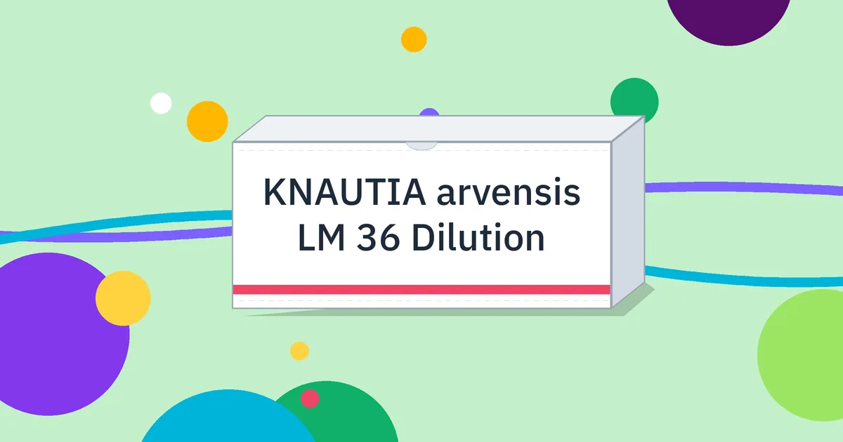 Symbolbild: Packung mit der Aufschrift KNAUTIA arvensis LM 36 Dilution (PZN 13519212) – Verfügbarkeit und Bezug in Apotheken in Frankfurt am Main