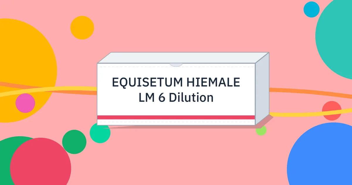 Symbolbild: Packung mit der Aufschrift EQUISETUM HIEMALE LM 6 Dilution (PZN 07540343) – Verfügbarkeit und Bezug in Apotheken in Frankfurt am Main