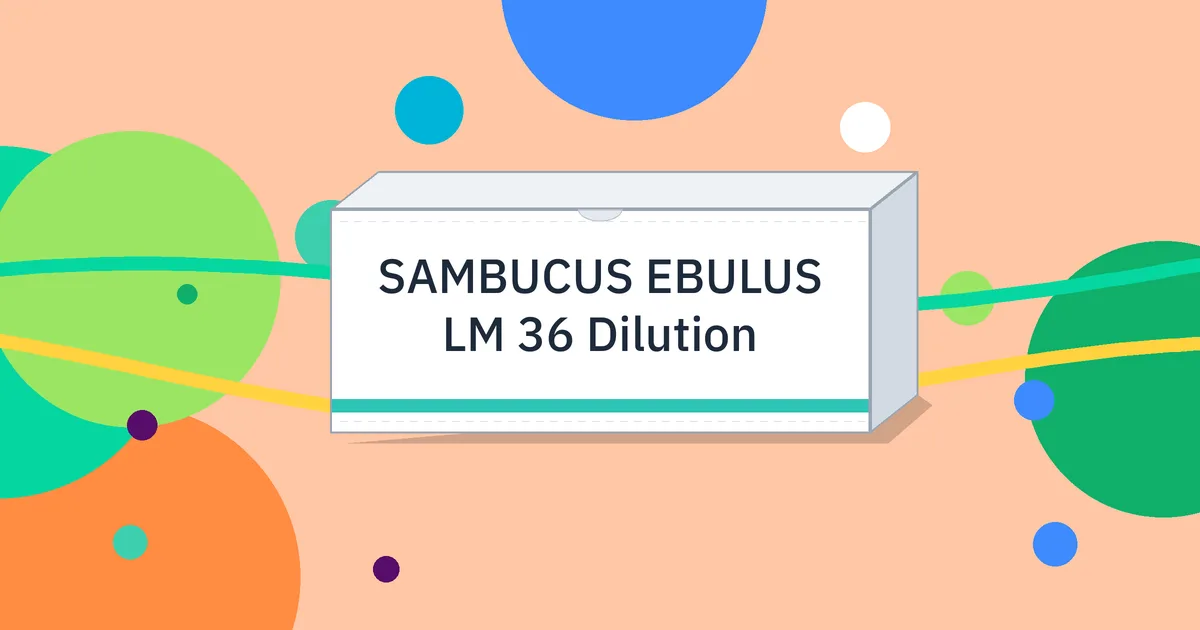 Symbolbild: Packung mit der Aufschrift SAMBUCUS EBULUS LM 36 Dilution (PZN 13180630) – Verfügbarkeit und Bezug in Apotheken in Frankfurt am Main