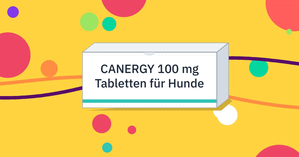 Symbolbild: Packung mit der Aufschrift CANERGY 100 mg Tabletten für Hunde (PZN 19658110) – Verfügbarkeit und Bezug in Apotheken in Frankfurt am Main