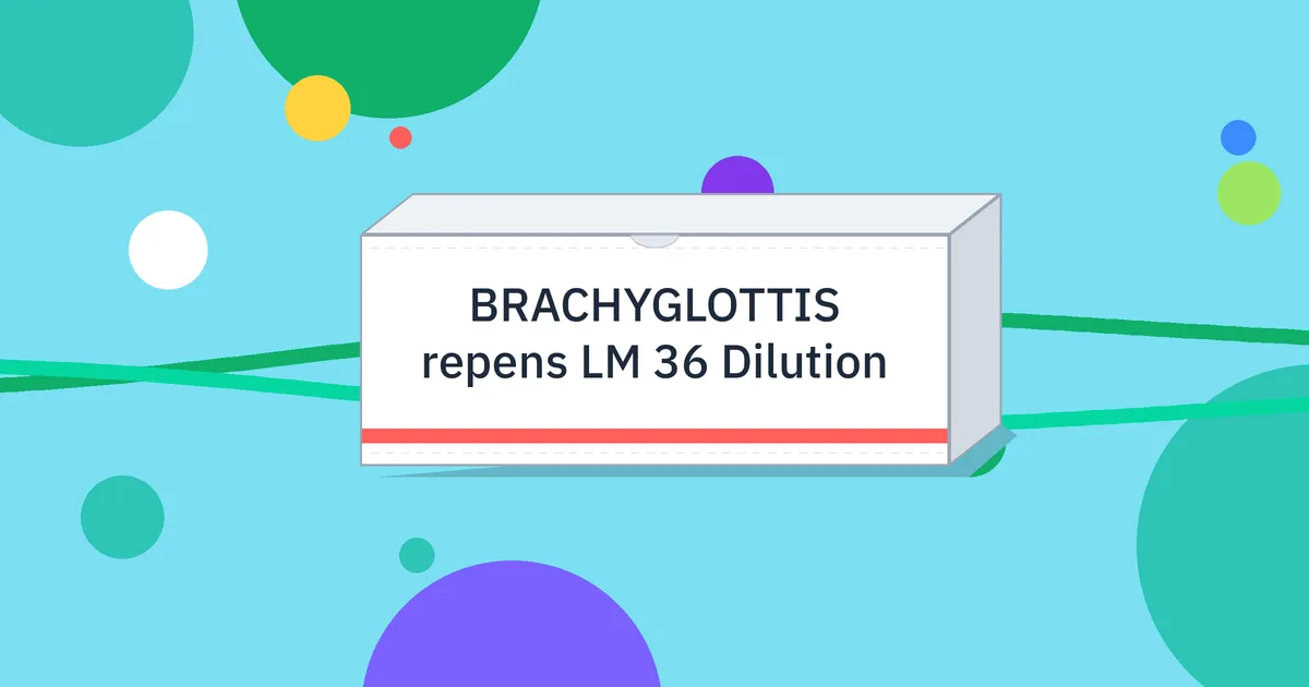 Symbolbild: Packung mit der Aufschrift BRACHYGLOTTIS repens LM 36 Dilution (PZN 13395342) – Verfügbarkeit und Bezug in Apotheken in Frankfurt am Main