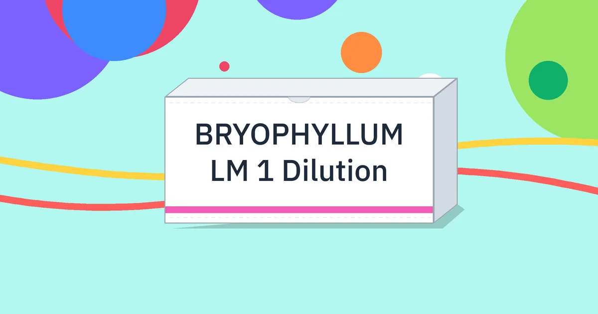Symbolbild: Packung mit der Aufschrift BRYOPHYLLUM LM 1 Dilution (PZN 13397157) – Verfügbarkeit und Bezug in Apotheken in Frankfurt am Main