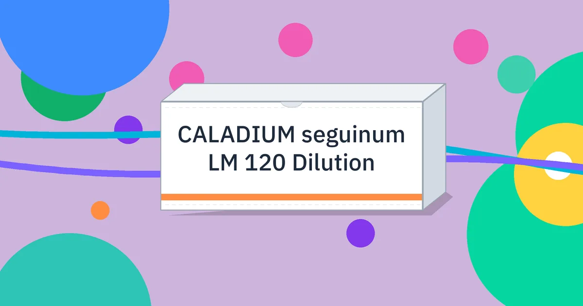 Symbolbild: Packung mit der Aufschrift CALADIUM seguinum LM 120 Dilution (PZN 13404414) – Verfügbarkeit und Bezug in Apotheken in Frankfurt am Main