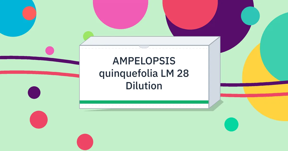 Symbolbild: Packung mit der Aufschrift AMPELOPSIS quinquefolia LM 28 Dilution (PZN 13325293) – Verfügbarkeit und Bezug in Apotheken in Frankfurt am Main