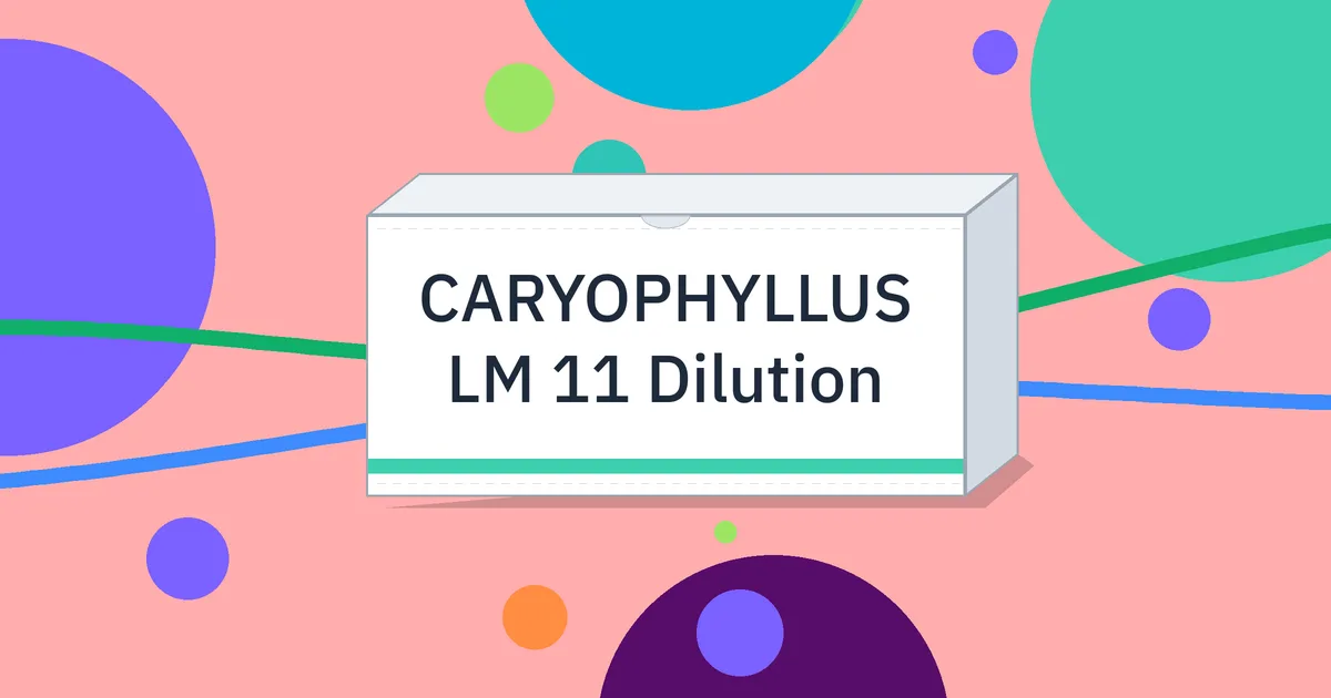 Symbolbild: Packung mit der Aufschrift CARYOPHYLLUS LM 11 Dilution (PZN 13431925) – Verfügbarkeit und Bezug in Apotheken in Frankfurt am Main