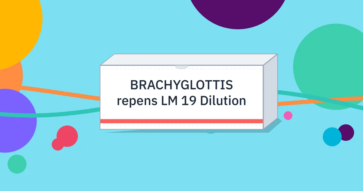 Symbolbild: Packung mit der Aufschrift BRACHYGLOTTIS repens LM 19 Dilution (PZN 13395046) – Verfügbarkeit und Bezug in Apotheken in Frankfurt am Main