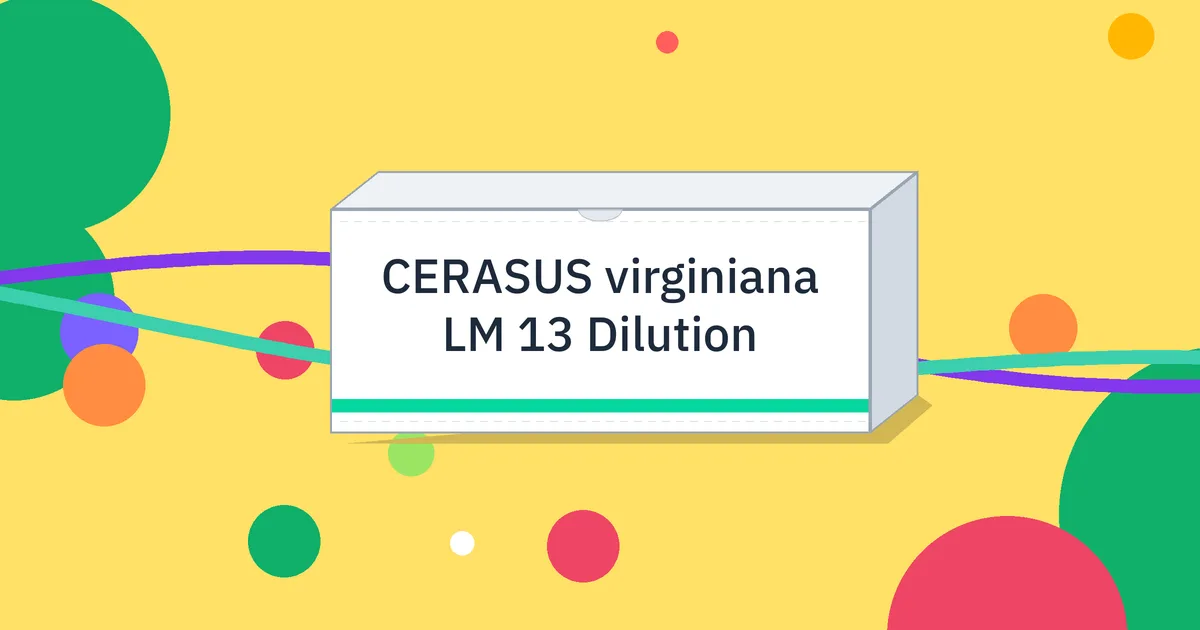 Symbolbild: Packung mit der Aufschrift CERASUS virginiana LM 13 Dilution (PZN 13436621) – Verfügbarkeit und Bezug in Apotheken in Frankfurt am Main