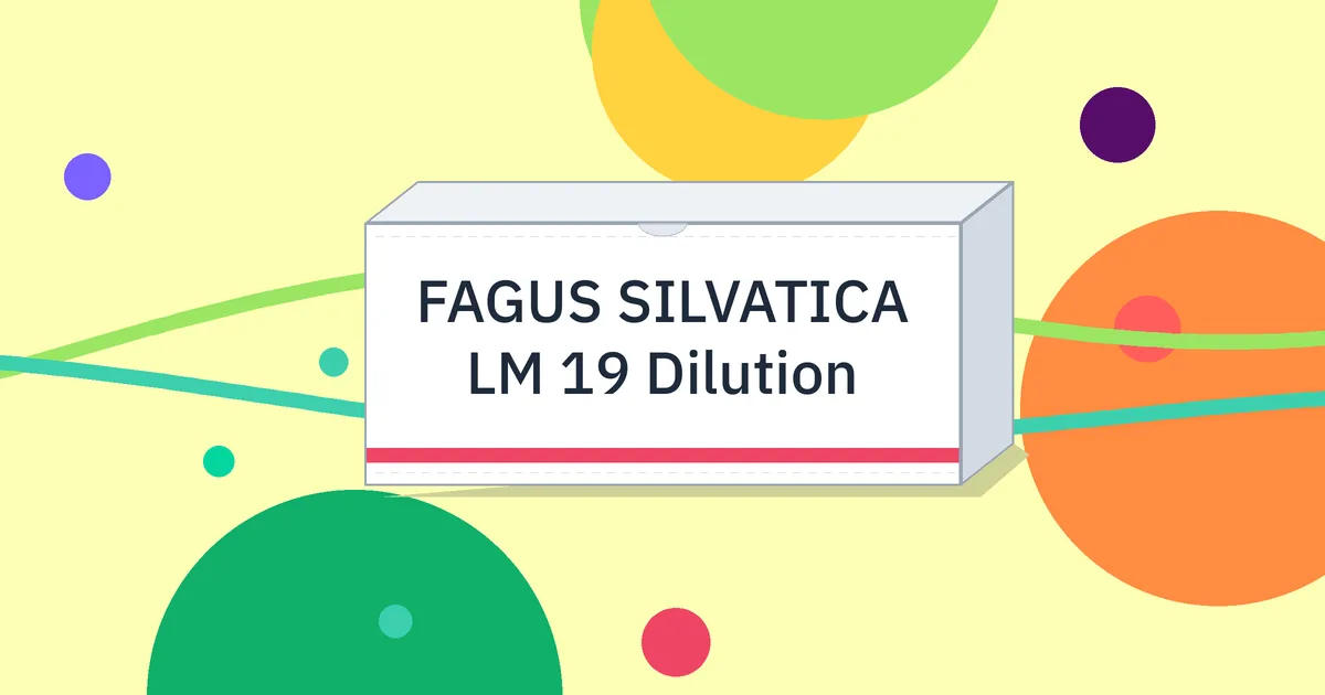 Symbolbild: Packung mit der Aufschrift FAGUS SILVATICA LM 19 Dilution (PZN 13487038) – Verfügbarkeit und Bezug in Apotheken in Frankfurt am Main