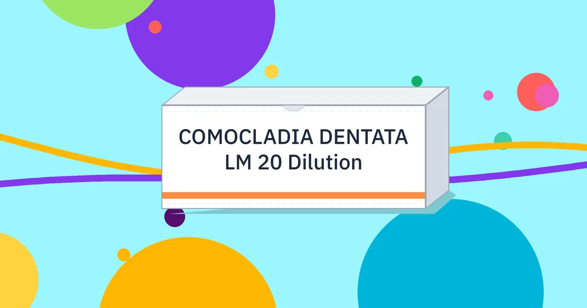 Symbolbild: Packung mit der Aufschrift COMOCLADIA DENTATA LM 20 Dilution (PZN 13449345) – Verfügbarkeit und Bezug in Apotheken in Frankfurt am Main