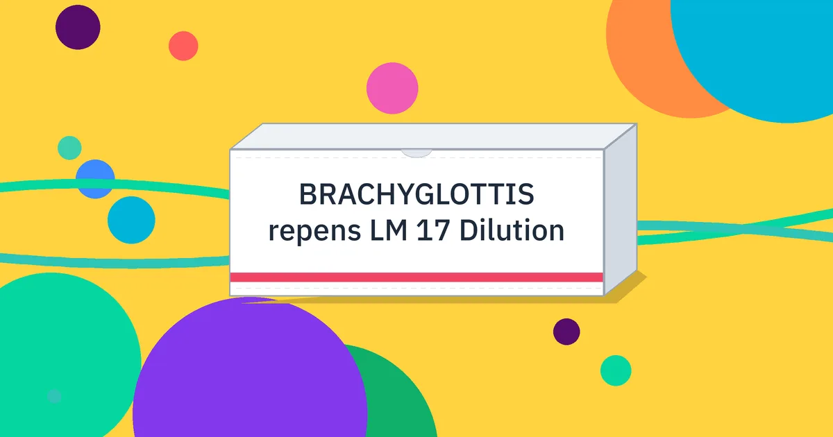 Symbolbild: Packung mit der Aufschrift BRACHYGLOTTIS repens LM 17 Dilution (PZN 13394992) – Verfügbarkeit und Bezug in Apotheken in Frankfurt am Main