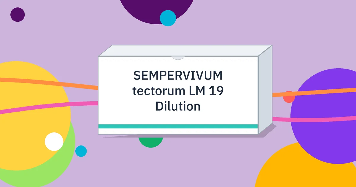 Symbolbild: Packung mit der Aufschrift SEMPERVIVUM tectorum LM 19 Dilution (PZN 13186288) – Verfügbarkeit und Bezug in Apotheken in Frankfurt am Main