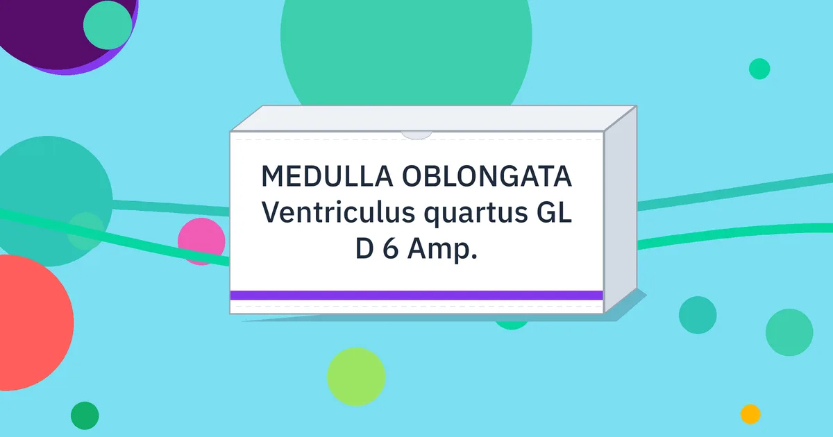 Symbolbild: Packung mit der Aufschrift MEDULLA OBLONGATA Ventriculus quartus GL D 6 Amp. (PZN 03356677) – Verfügbarkeit und Bezug in Apotheken in Frankfurt am Main