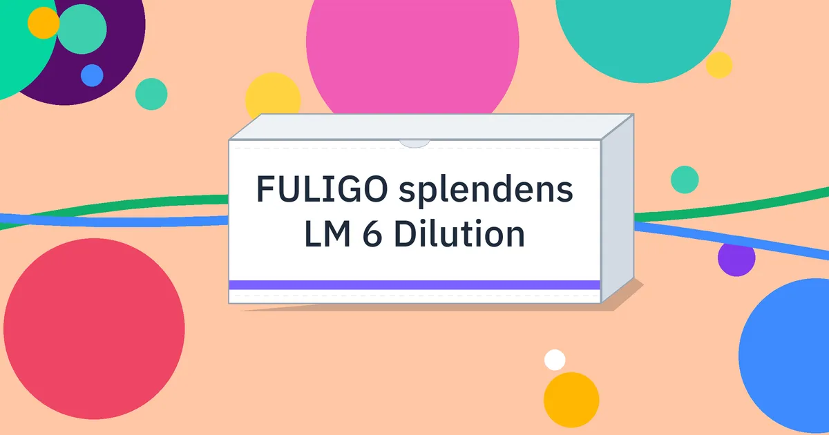Symbolbild: Packung mit der Aufschrift FULIGO splendens LM 6 Dilution (PZN 13493352) – Verfügbarkeit und Bezug in Apotheken in Frankfurt am Main