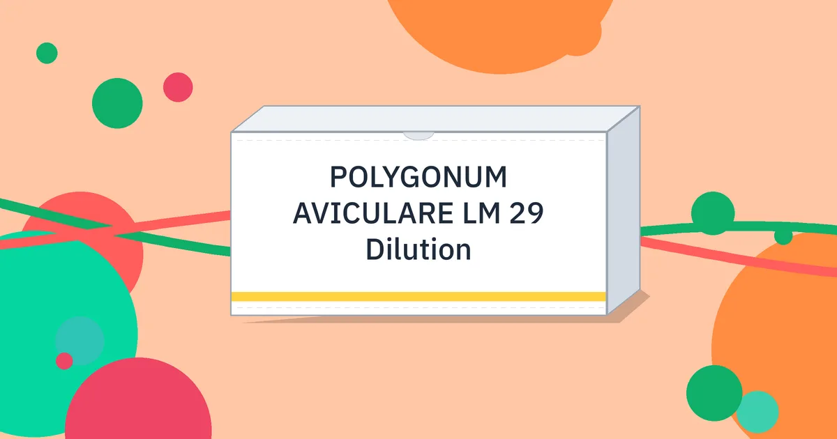 Symbolbild: Packung mit der Aufschrift POLYGONUM AVICULARE LM 29 Dilution (PZN 13662151) – Verfügbarkeit und Bezug in Apotheken in Frankfurt am Main
