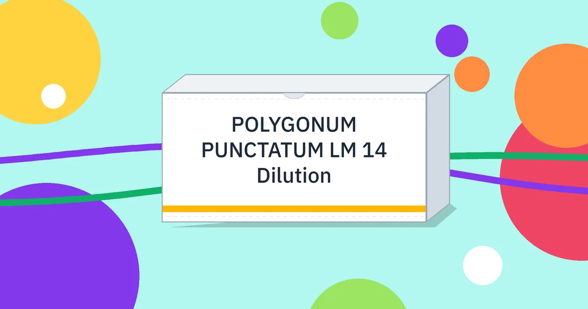 Symbolbild: Packung mit der Aufschrift POLYGONUM PUNCTATUM LM 14 Dilution (PZN 13662903) – Verfügbarkeit und Bezug in Apotheken in Frankfurt am Main