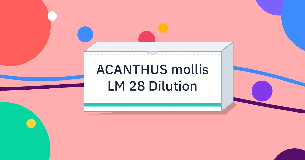 Symbolbild: Packung mit der Aufschrift ACANTHUS mollis LM 28 Dilution (PZN 13263592) – Verfügbarkeit und Bezug in Apotheken in Frankfurt am Main