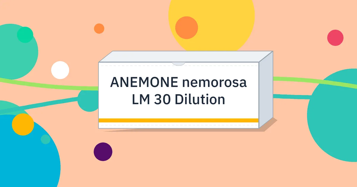 Symbolbild: Packung mit der Aufschrift ANEMONE nemorosa LM 30 Dilution (PZN 13366783) – Verfügbarkeit und Bezug in Apotheken in Frankfurt am Main