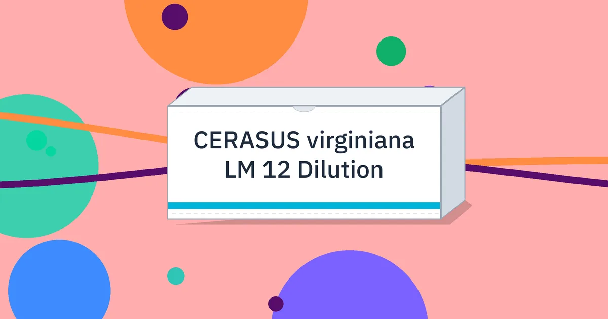 Symbolbild: Packung mit der Aufschrift CERASUS virginiana LM 12 Dilution (PZN 13436615) – Verfügbarkeit und Bezug in Apotheken in Frankfurt am Main