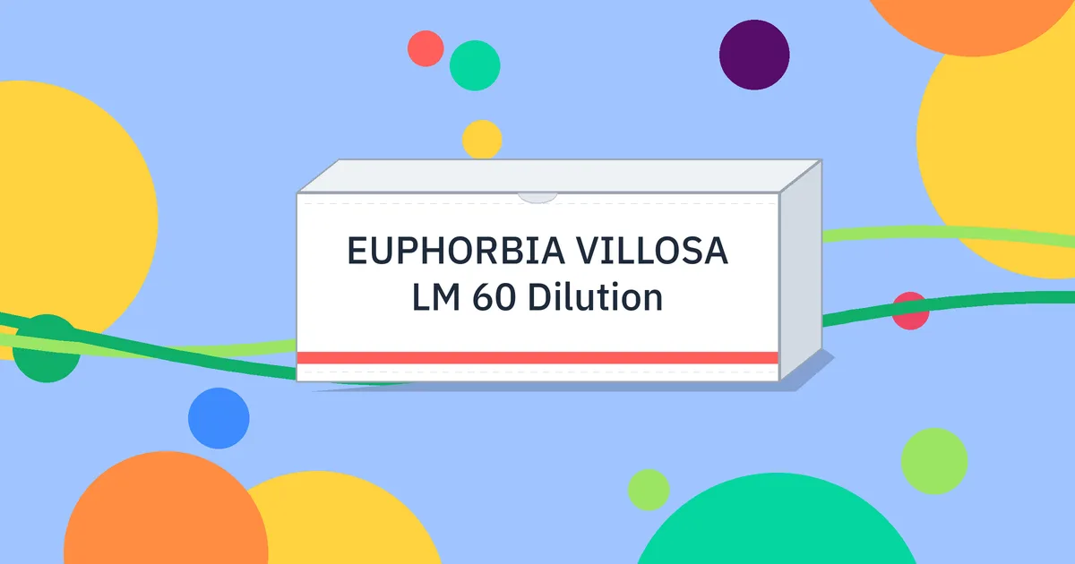 Symbolbild: Packung mit der Aufschrift EUPHORBIA VILLOSA LM 60 Dilution (PZN 13482986) – Verfügbarkeit und Bezug in Apotheken in Frankfurt am Main