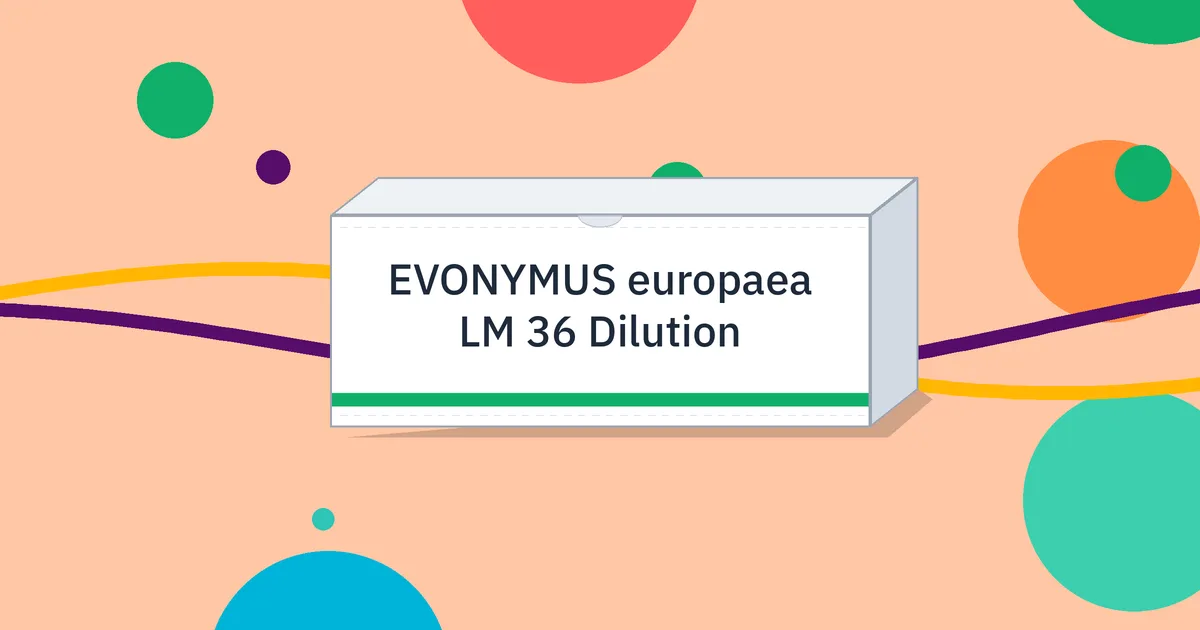 Symbolbild: Packung mit der Aufschrift EVONYMUS europaea LM 36 Dilution (PZN 13484844) – Verfügbarkeit und Bezug in Apotheken in Frankfurt am Main