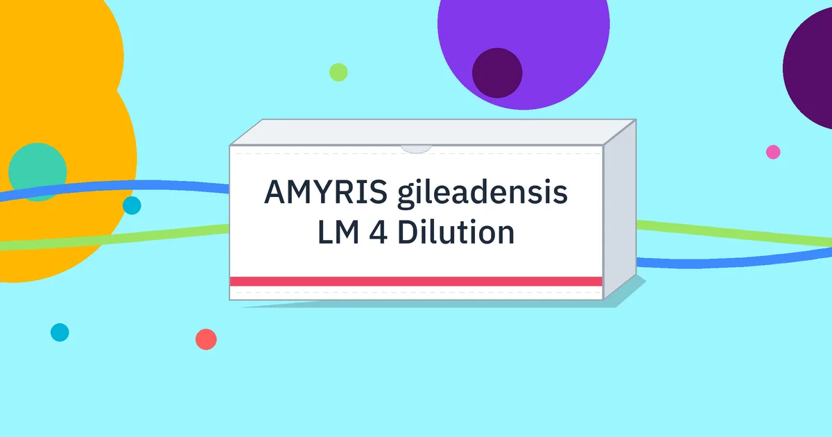 Symbolbild: Packung mit der Aufschrift AMYRIS gileadensis LM 4 Dilution (PZN 13326861) – Verfügbarkeit und Bezug in Apotheken in Frankfurt am Main