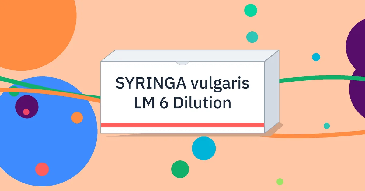 Symbolbild: Packung mit der Aufschrift SYRINGA vulgaris LM 6 Dilution (PZN 13685330) – Verfügbarkeit und Bezug in Apotheken in Frankfurt am Main