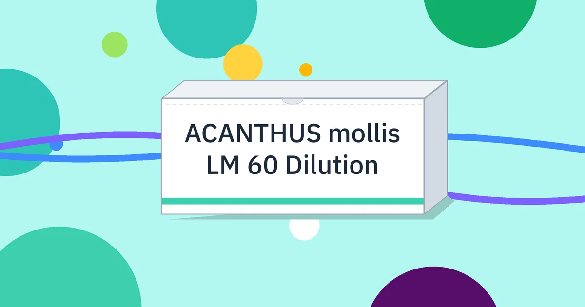 Symbolbild: Packung mit der Aufschrift ACANTHUS mollis LM 60 Dilution (PZN 13263741) – Verfügbarkeit und Bezug in Apotheken in Frankfurt am Main