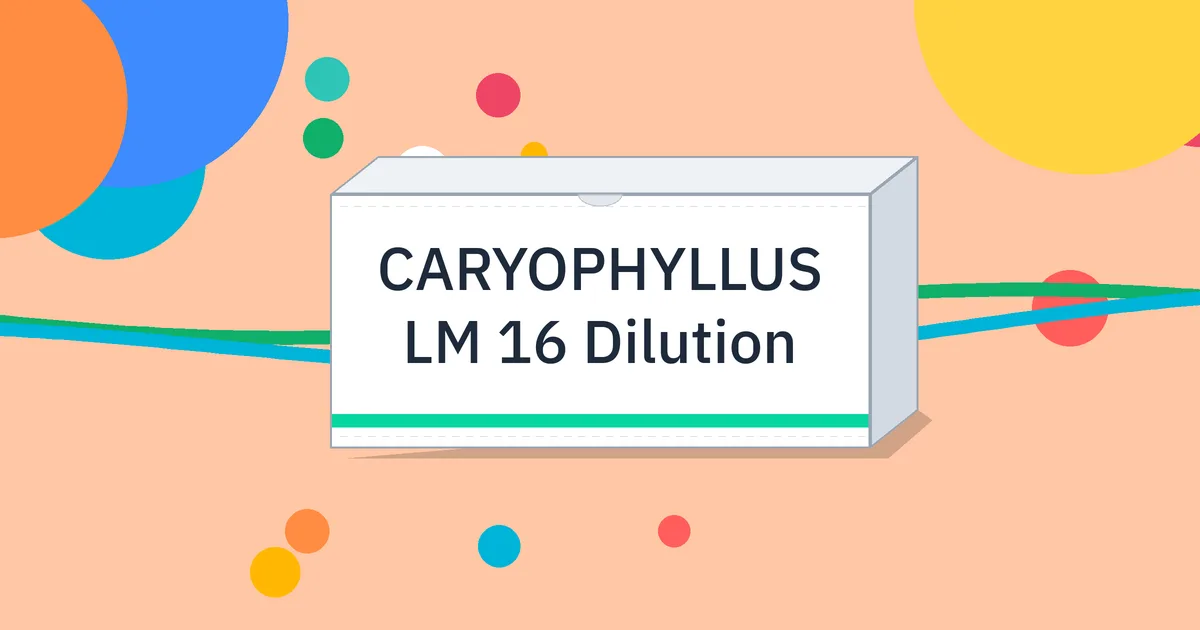 Symbolbild: Packung mit der Aufschrift CARYOPHYLLUS LM 16 Dilution (PZN 13431977) – Verfügbarkeit und Bezug in Apotheken in Frankfurt am Main