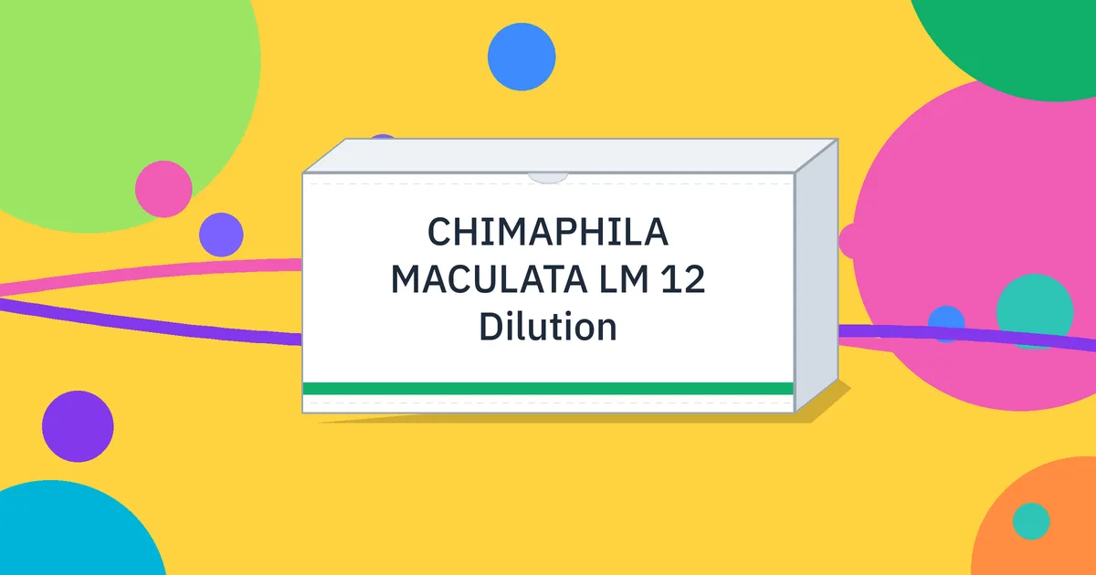 Symbolbild: Packung mit der Aufschrift CHIMAPHILA MACULATA LM 12 Dilution (PZN 13441763) – Verfügbarkeit und Bezug in Apotheken in Frankfurt am Main